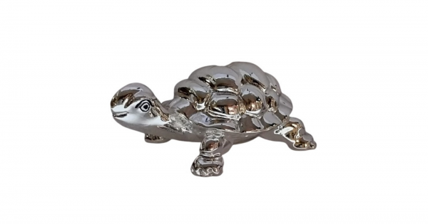 ST2576 ROYAL TORTOISE (S)